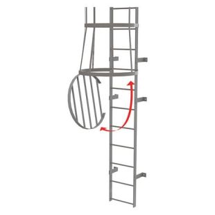 Tri-Arc WLFC12 Series Fixed Steel Ladders with Cage and Walk-Thru